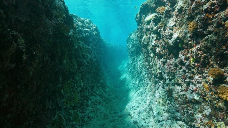 How deep is Mariana Trench - Mariana Trench Depth Facts - SciQuest