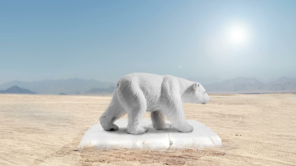 How Many Polar Bears Left In The World - Polar Bear Population - SciQuest