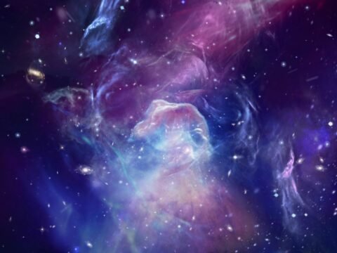 The Stages of the Life Cycle of a Star - A Cosmic Evolution - SciQuest