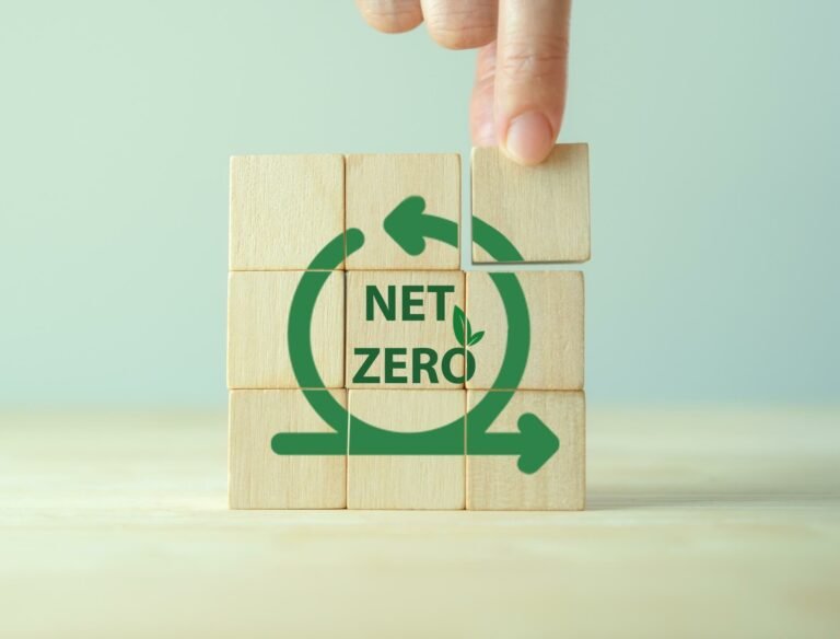 What Does Net Zero Emissions Mean? - Why it is very important for us ...