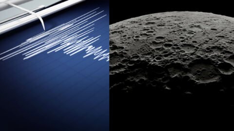 What Are Moonquakes And What Causes Them? - Earthquake vs Moonquake ...