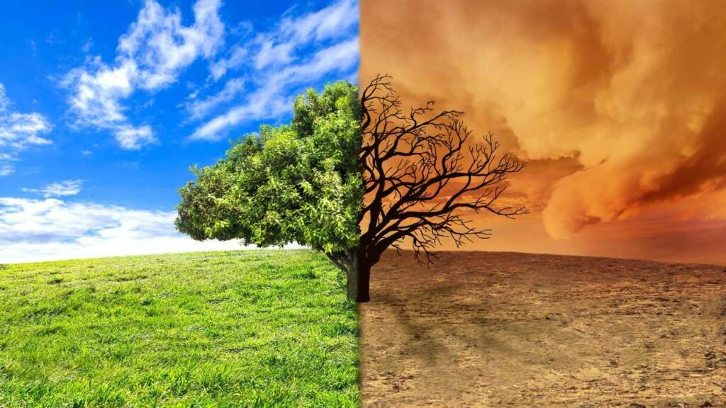 Nature Based Solutions To Climate Change - Innovative Technologies ...