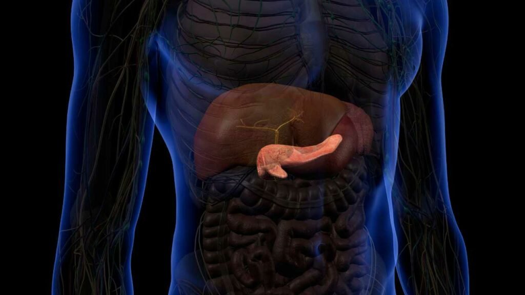 The Longest Living Person Without A Pancreas - SciQuest