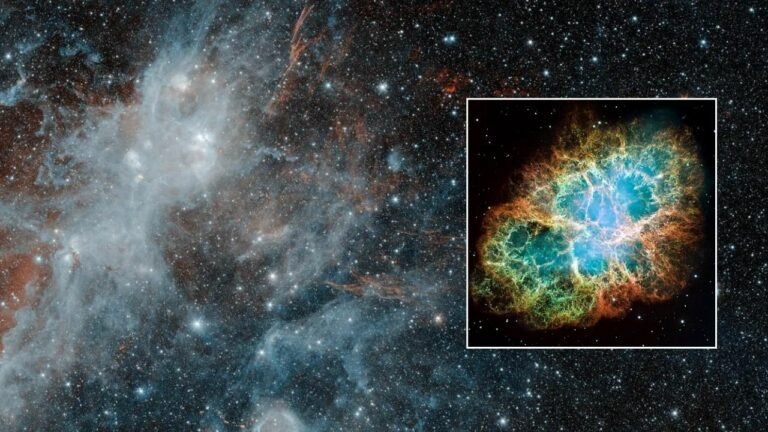 Formation Of Nebula: How Is A Nebula Formed? - SciQuest