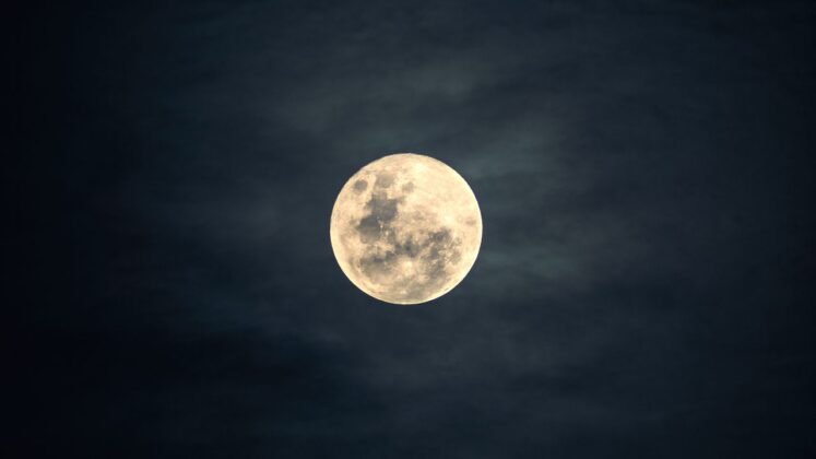 How Big Is the Moon Compared to Other Moons in the Solar System? - SciQuest