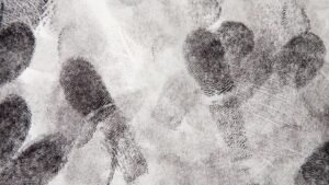 Can Identical Twins Have The Same Dna Sciquest